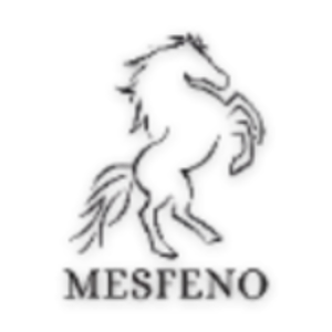 Mesfeno Clothing Mağazası Ürün Fiyatları - Hepsiburada