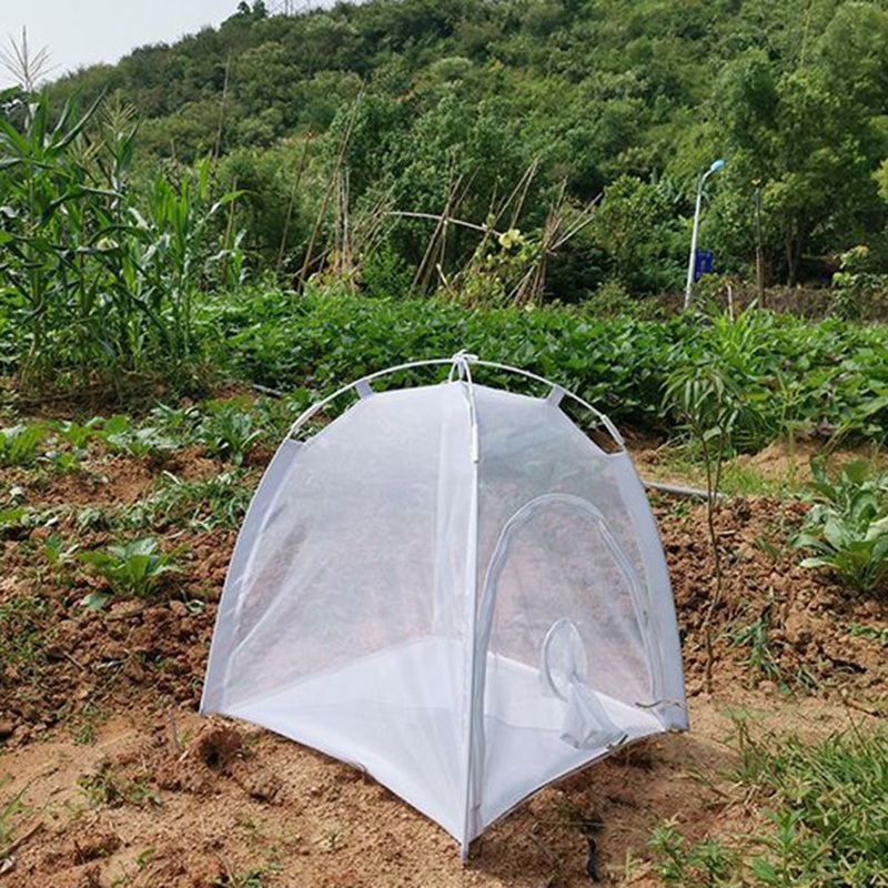 Pandoraplanet Çok Fonksiyonlu Bitki Yalıtım Döken Bahçe Sera Fiyatı