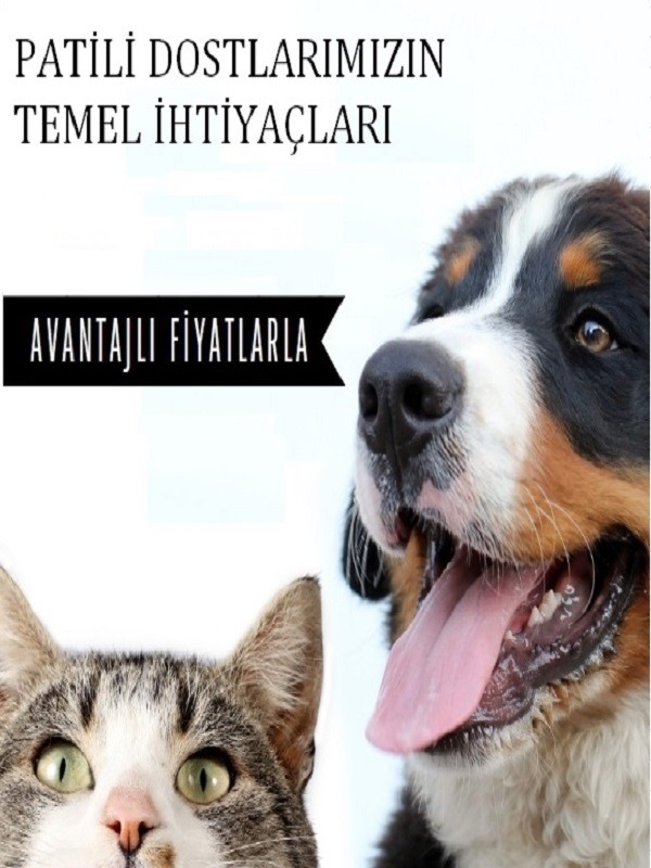 GİTTİ GİDİYOR Mağazası Ürün Fiyatları - Hepsiburada