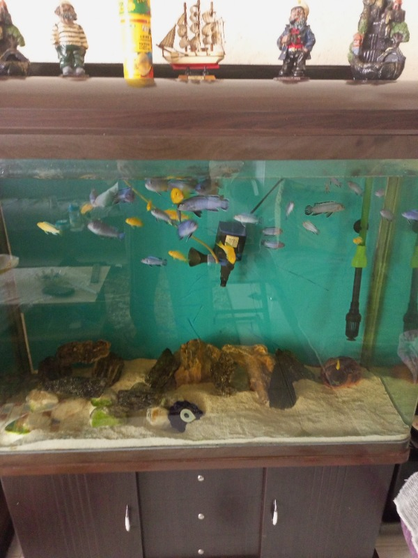 perry.pet Mağazası Ürün Fiyatları - Hepsiburada